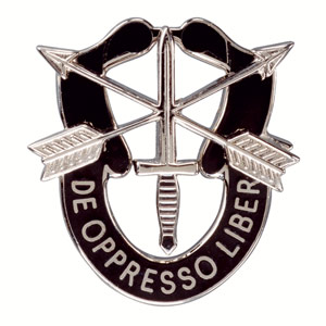Special Forces Crest Pin | North Bay Listings