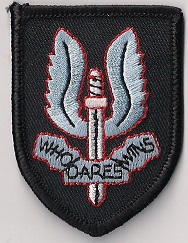 Special Air Service SAS Flash Patch | North Bay Listings