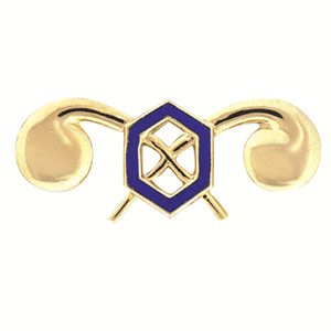 US Army Chemical Corps Officer Insignia (SET) | North Bay Listings