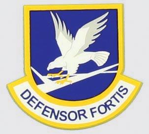 Air Force Defensor Fortis Decal | North Bay Listings