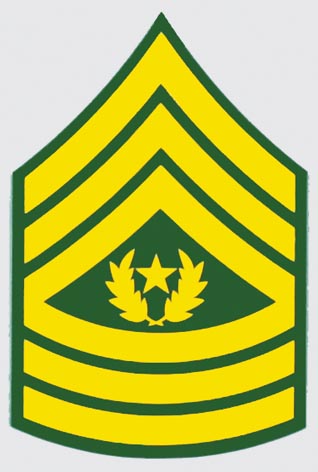 Dep guy needs help with higher ranks. : r/army