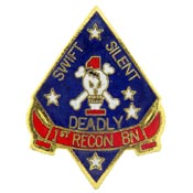 1st Marine Recon Battalion Pin | North Bay Listings